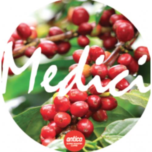 ANTICO MEDICI 1 KG BEANS – Coffee Antico